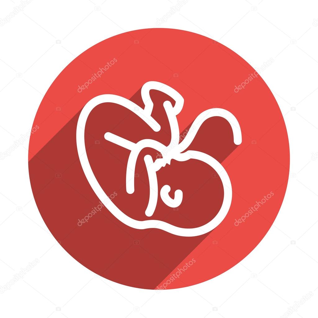 Embryon baby with umbilical symbol Stock Vector by ©LovArt 76962245