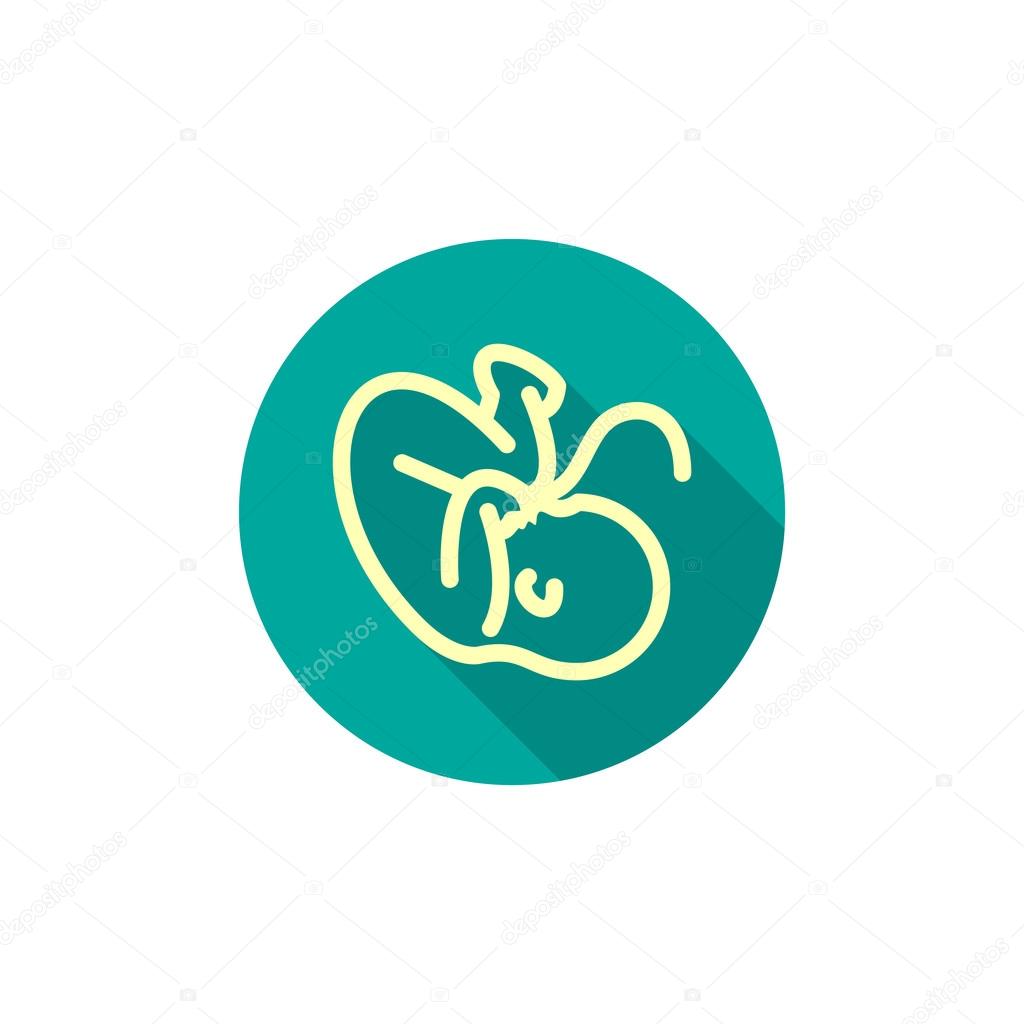 Embryo baby with umbilical symbol Stock Vector Image by ©LovArt #82576368