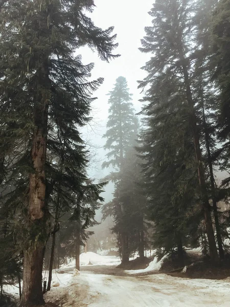 Mountain lebanon Stock Photos, Royalty Free Mountain lebanon Images ...