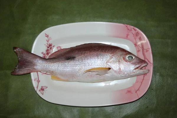 Man eating piranha Stock Photos, Royalty Free Man eating piranha Images ...