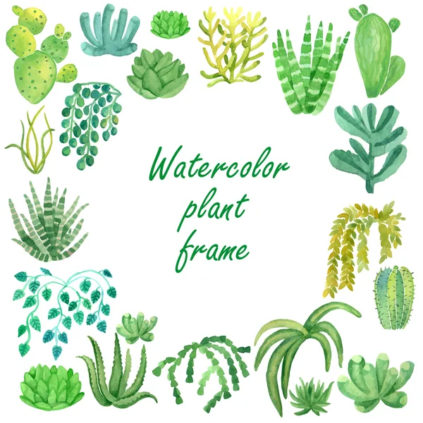 13,040 Watercolor plants Vector Images, Watercolor plants Illustrations ...