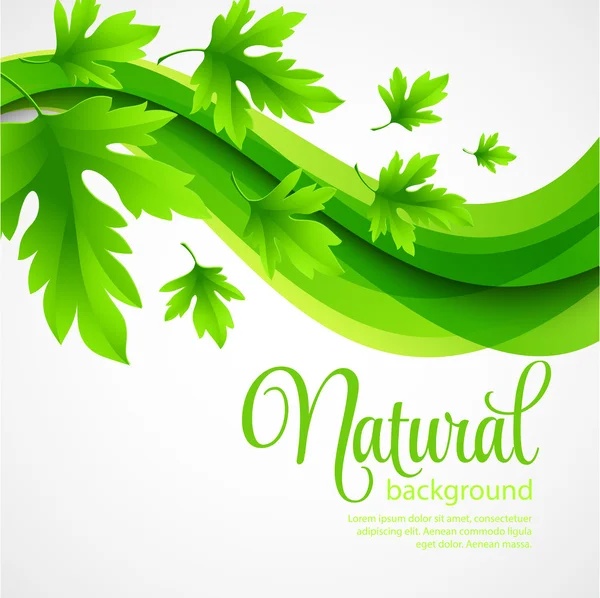 Verdensnaturarven Vector Art Stock Images | Depositphotos