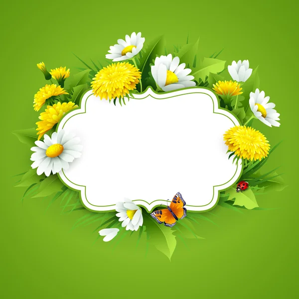 Fresh spring background with grass, dandelions and daisies — Stock ...