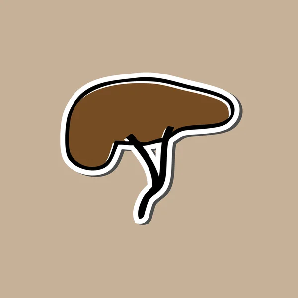 ᐈ Liver drawing stock vectors, Royalty Free liver sticker drawing ...