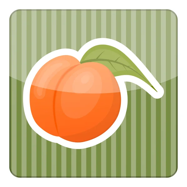 Vector colorful peach icon Stock Vector Image by ©helloweenn #106983680