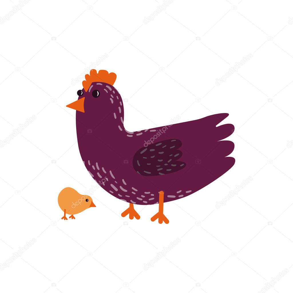 vector plano, gallina púrpura, fondo blanco, gran tamaño 2023