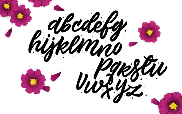 Vector Alphabet Lettering Typography Designs Logo Poster Packaging ...