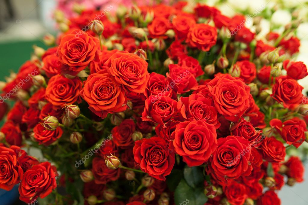 Beautiful bouquet of red roses Stock Photo by ©davit85 75277339
