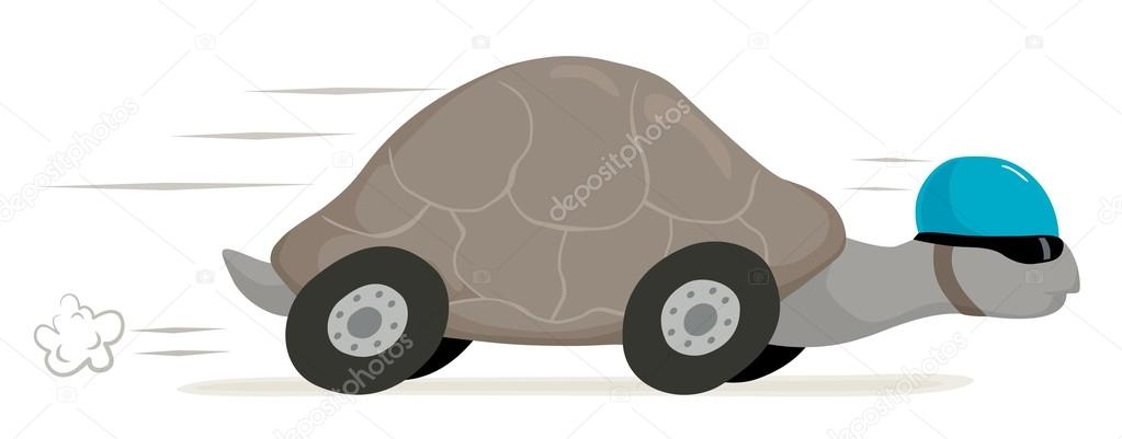 Tortoise on wheels Stock Vector Image by ©wickerwood #66419785