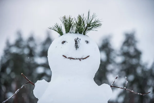 Snow king Stock Photos, Royalty Free Snow king Images | Depositphotos