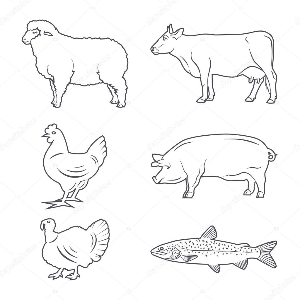 Farm Animals contour set Stock Vector Image by ©valeri.si #99538390