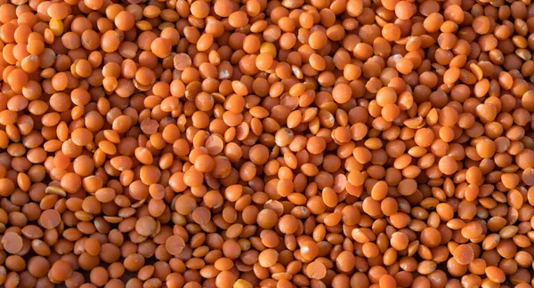 Antecedentes de leguminosas images libres de droit, photos de ...