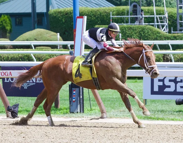 Las cicatrices son geniales con Tyler Gafflione ganando fácilmente con ...