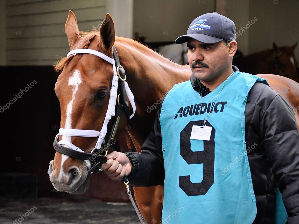 Todd Pletcher estudiando el castaño cincelado, potro de 3 años Vino ...