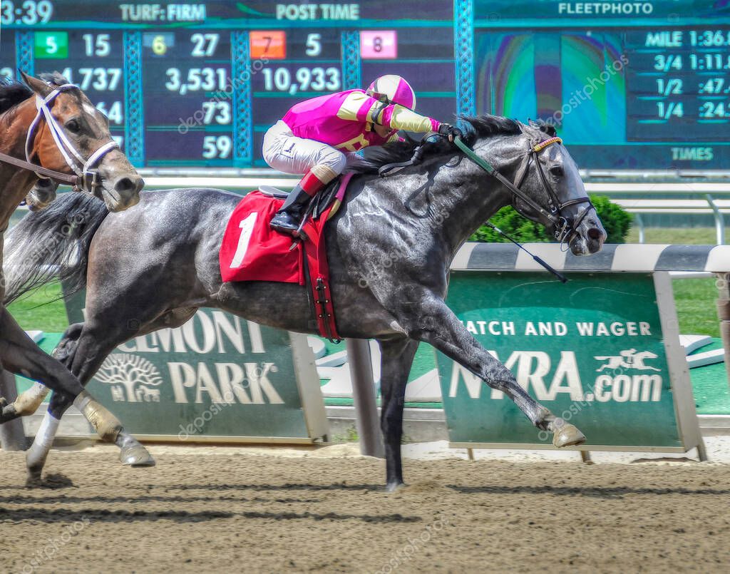 Eric Cancelar instando a los grisáceos Soy increíble para tomar la ...