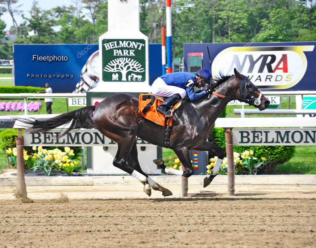 Alex Solis gana una carrera con el veterano gelding "Real Estate" por ...