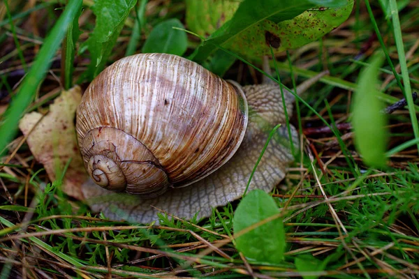 State of biodiversity Stock Photos, Royalty Free State of biodiversity ...