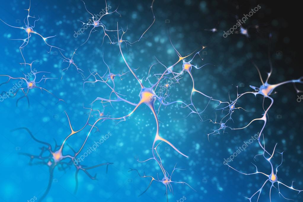 Neurons of the nervous system cells. — Stock Photo © Rost9 #100139778