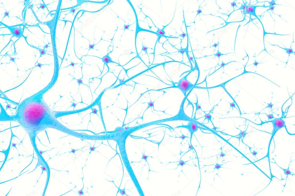 Neurons in the brain on white background with focus effect. 3d ...