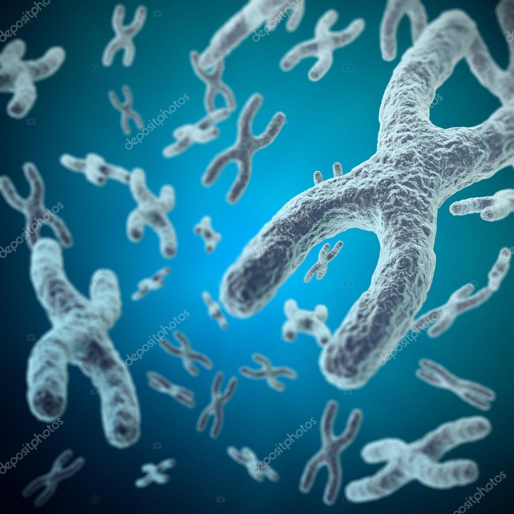 X-chromosomes as a concept for human biology medical symbol gene ...