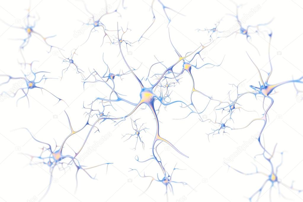 Neurons in the brain on white background with focus effect. 3d ...