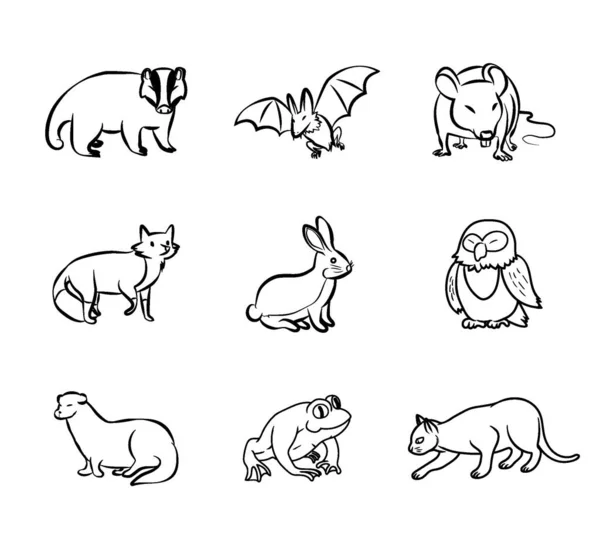 Line Drawings Of Animals