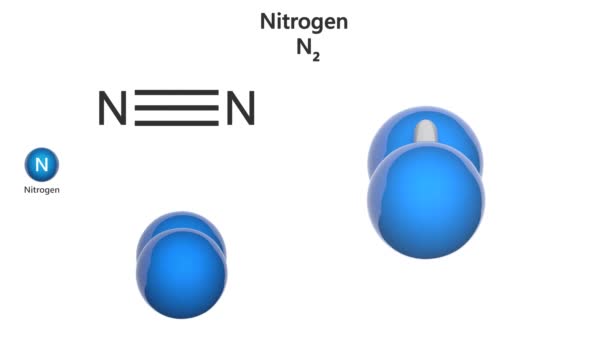 N2 Structure