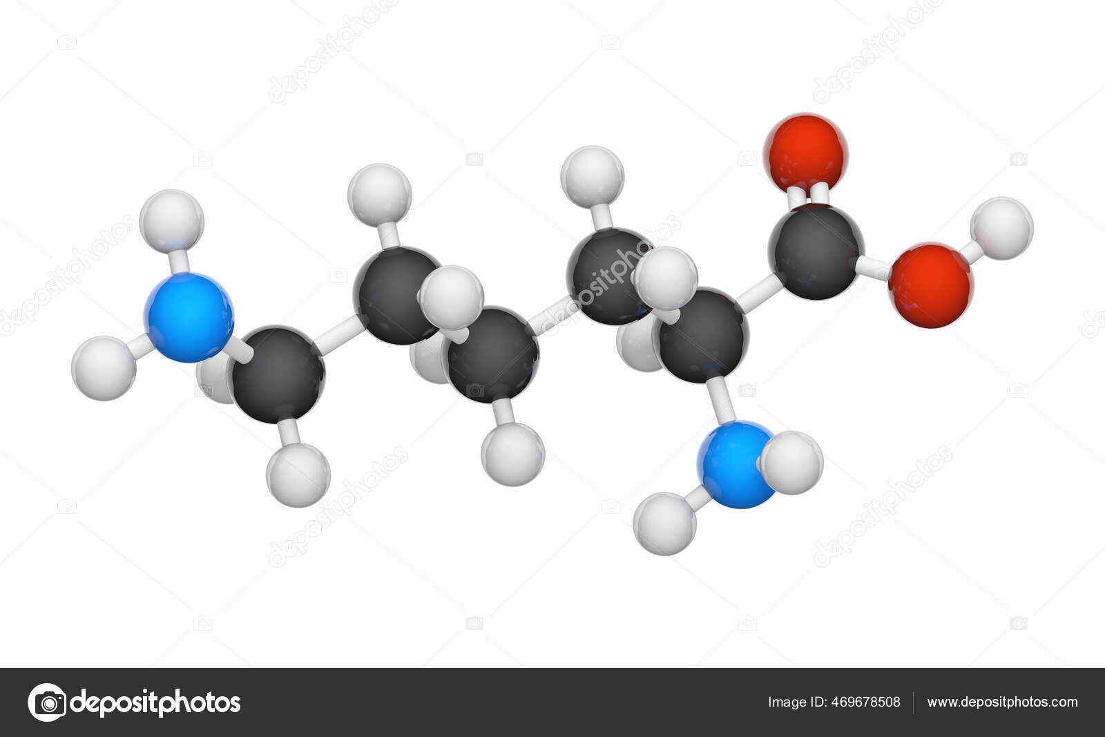 Lysine Symbol Lys Amino Acid Used Biosynthesis Proteins Formula ...