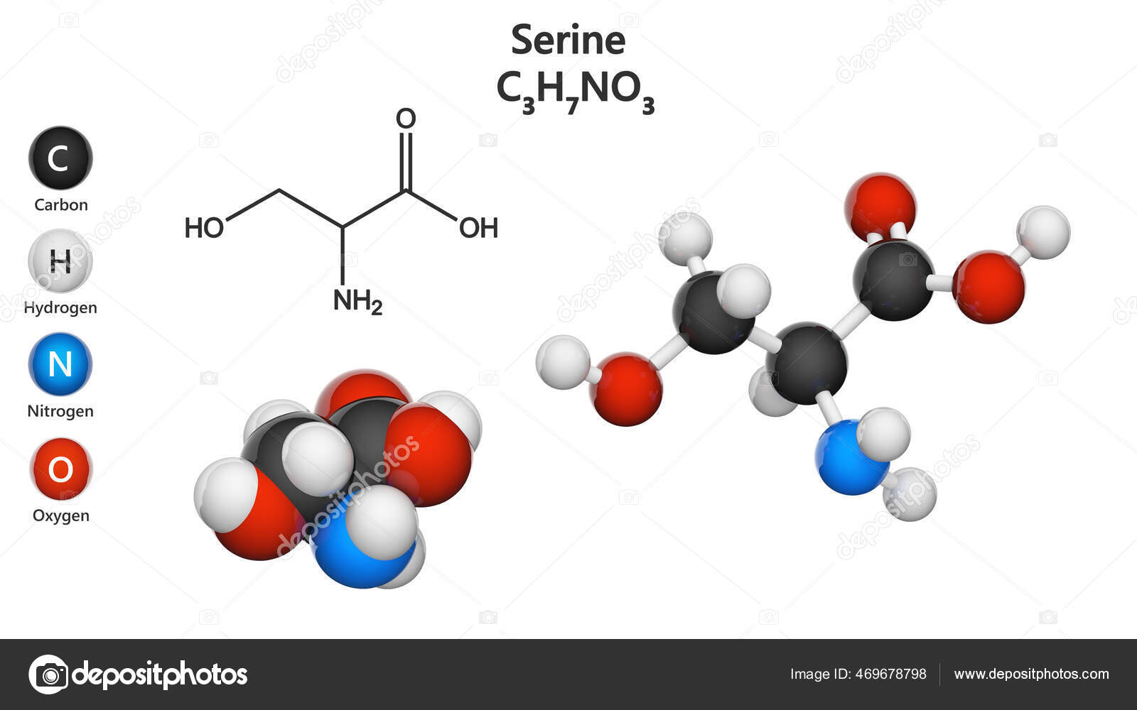 Serine Symbol Ser Amino Acid Used Biosynthesis Proteins Formula C3H7No3 ...
