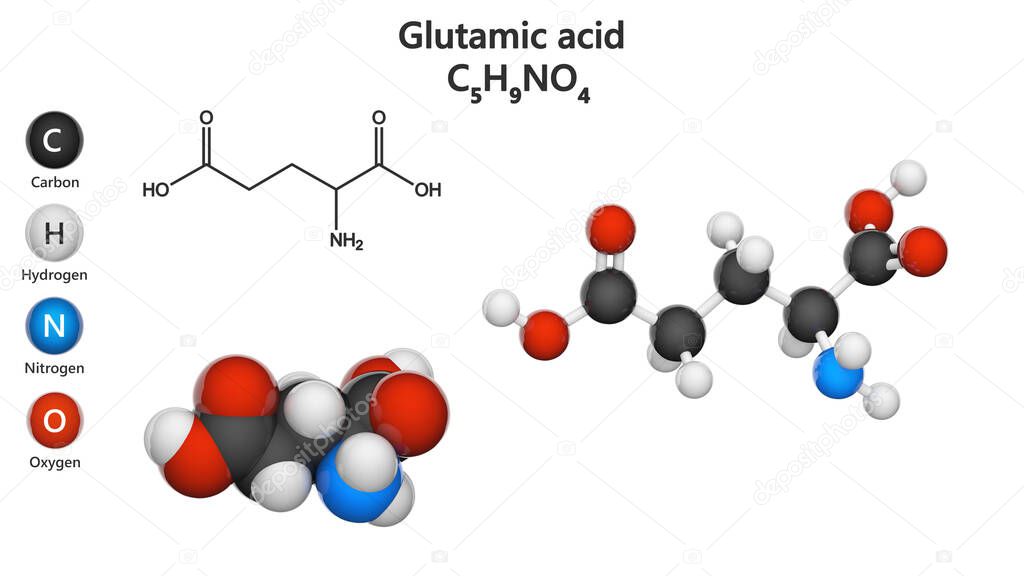 El ácido glutámico (Glu), también conocido como glutamato, es uno de ...