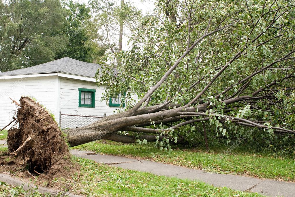 Wind Storm Damage Stock Photo by ©Lawcain 67353789