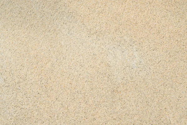 Fotos de Arena de hojas planas, Imágenes de Arena de hojas planas ⬇ ...