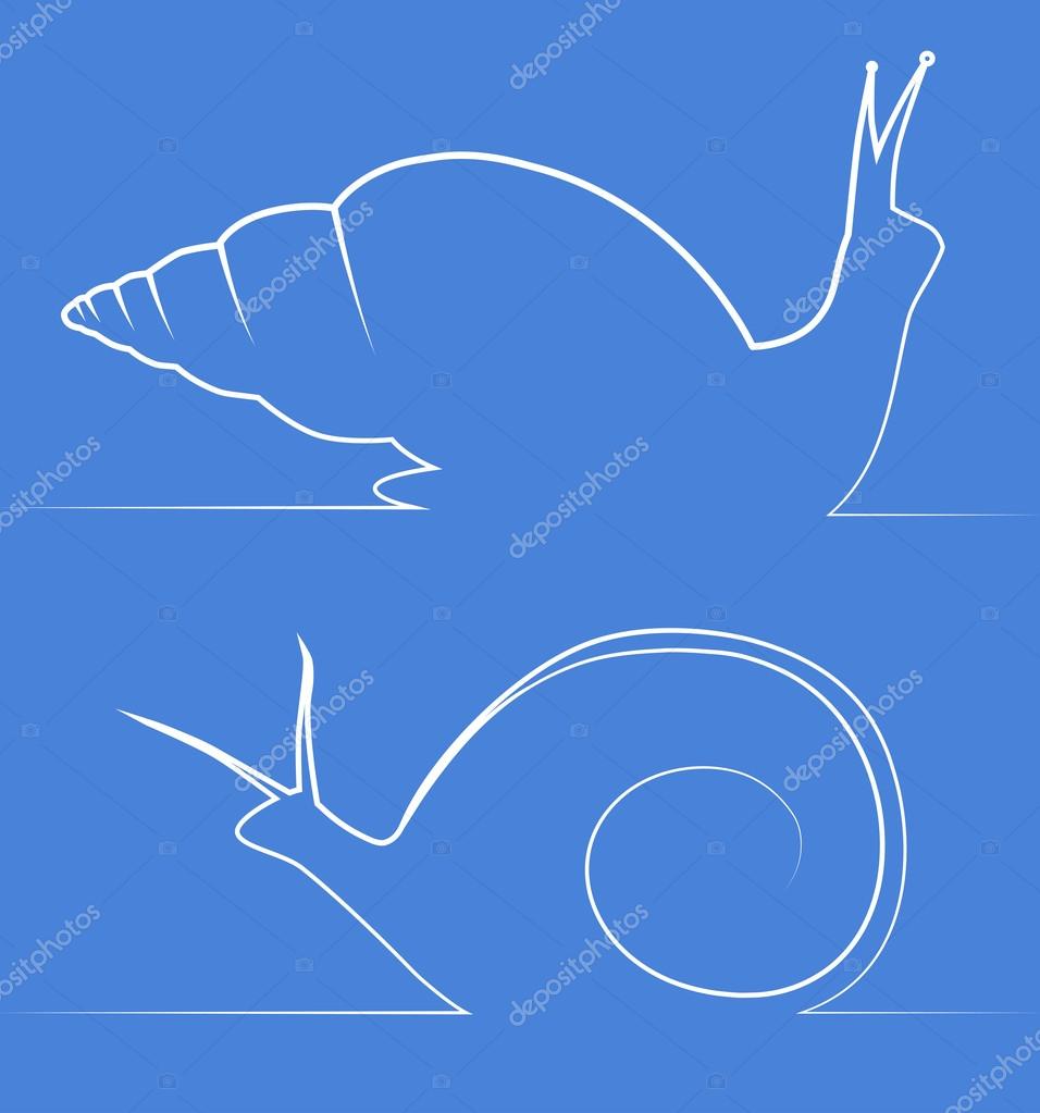 Snail Achatina and snail Marisa Stock Vector Image by ©veleri #112472238