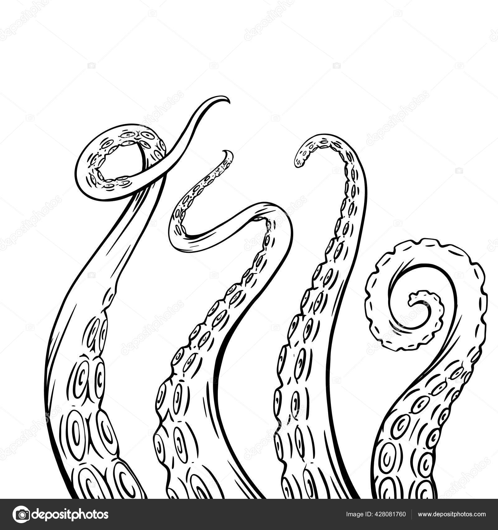 How To Draw Octopus Legs