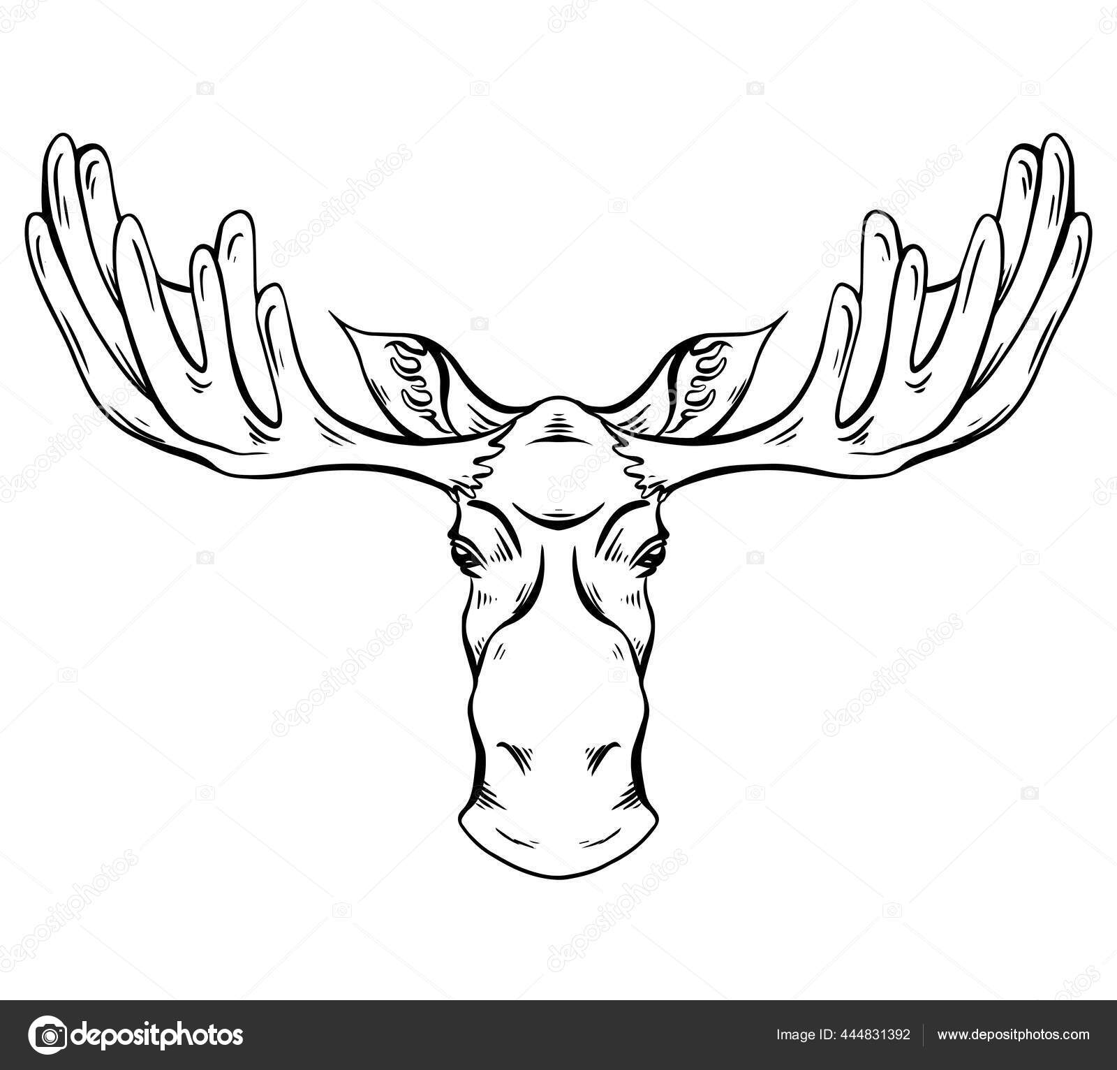 Moose Antlers Vector