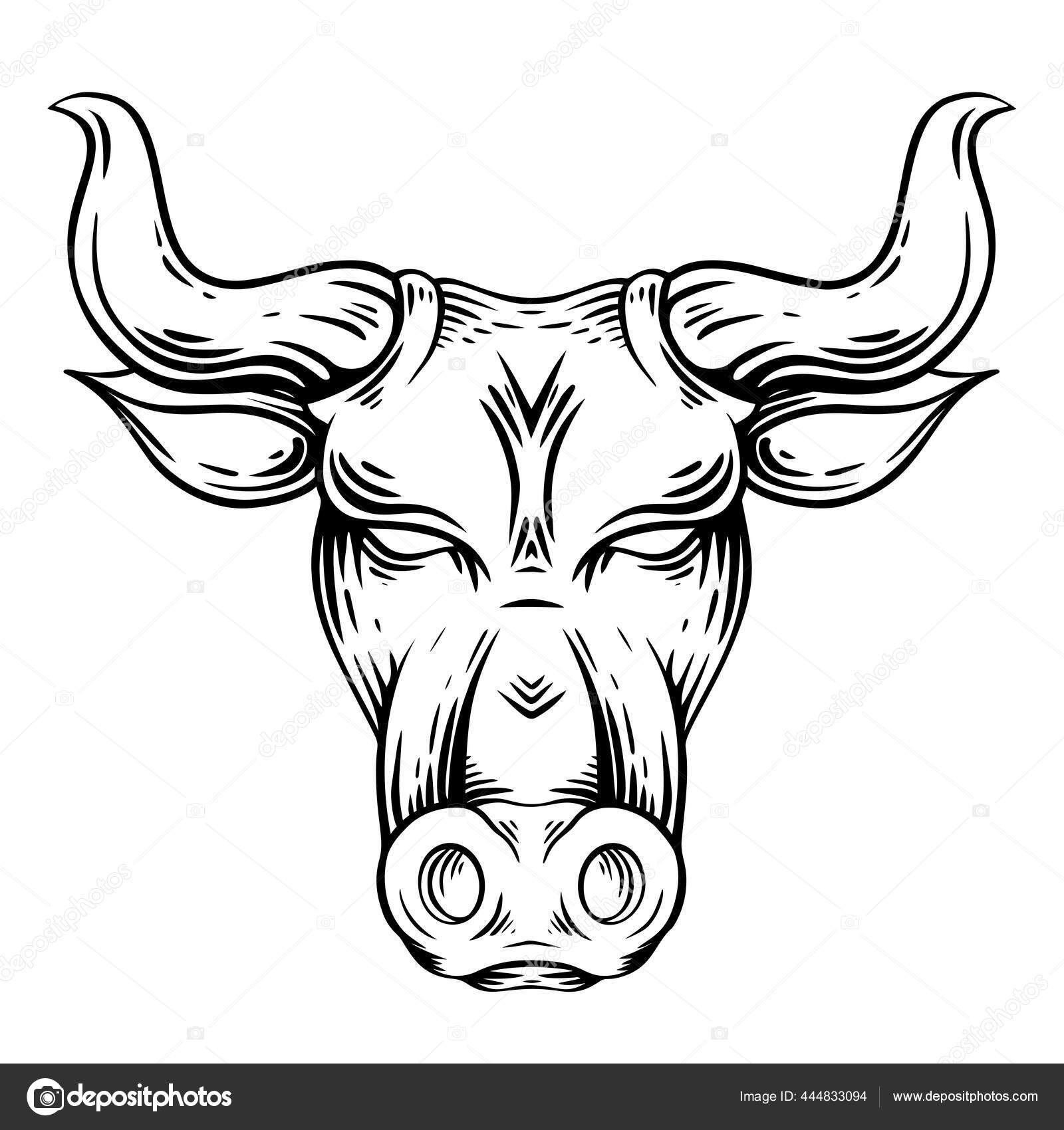 Esquema Ilustración Grabado Una Cabeza Toro Con Eclosión Símbolo Del ...