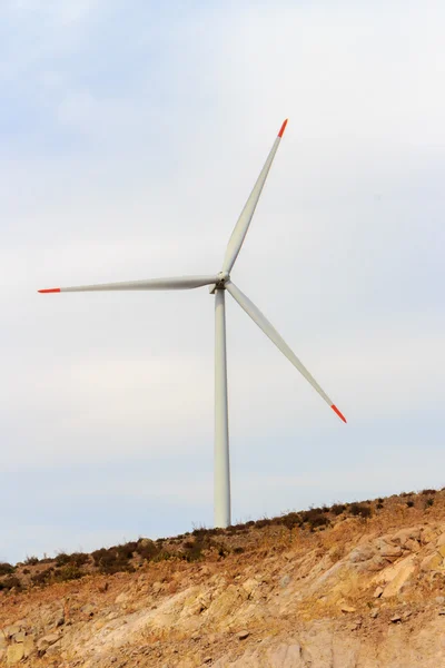 Wind vane Images - Search Images on Everypixel