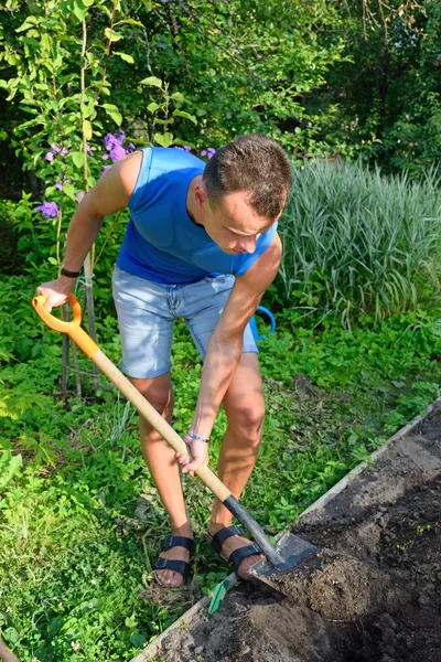 Man digging hole Stock Photos, Royalty Free Man digging hole Images ...