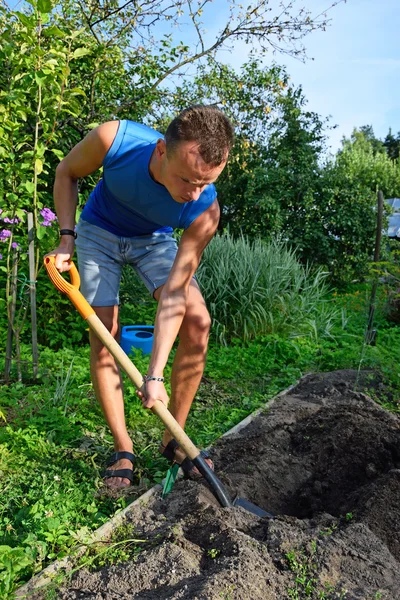 Man digging hole Stock Photos, Royalty Free Man digging hole Images ...