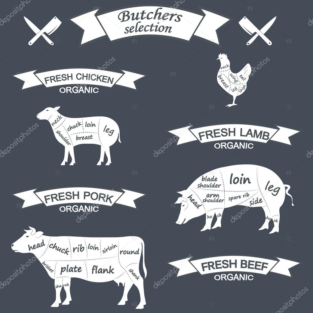 diagrama vectorial canales cortadas de pollo, cerdo, vaca, cordero 2022