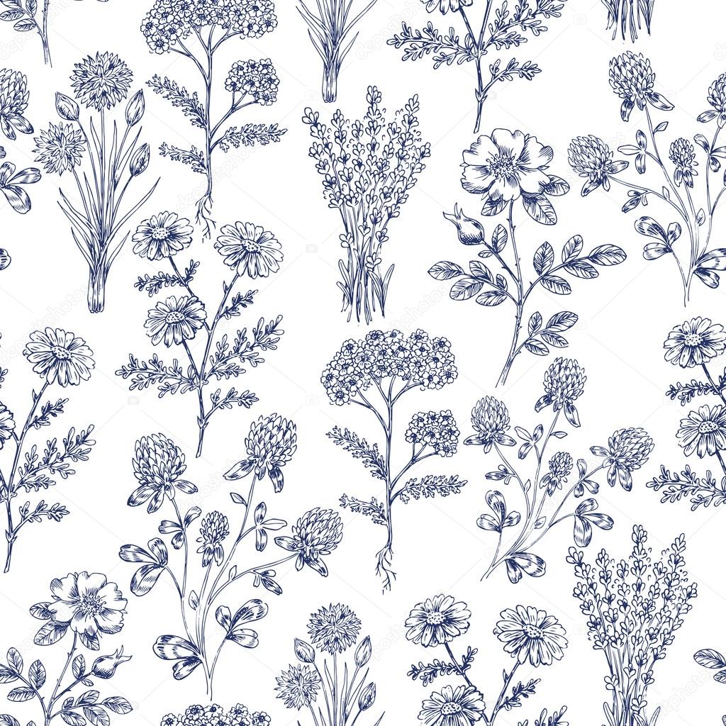 Hand Drawn Herbs Seamless Pattern — Stock Vector © adehoidar #80109576 Hand Drawn Herbs Seamless Pattern — Stock Vector © adehoidar #80109576