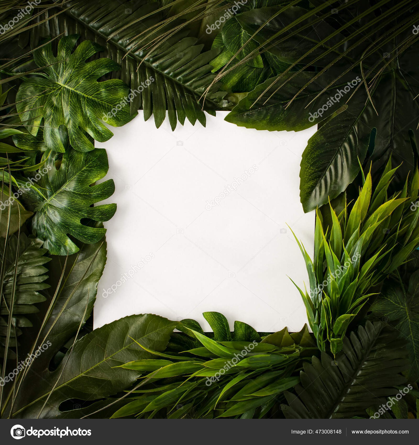 Creative Nature Layout Made Tropical Leaves Flowers Copy Space Made ...