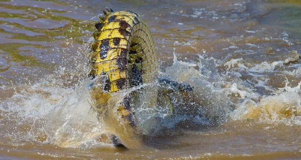 Crocodile eats a wildebeest Stock Photo by ©GUDKOVANDREY 115935390