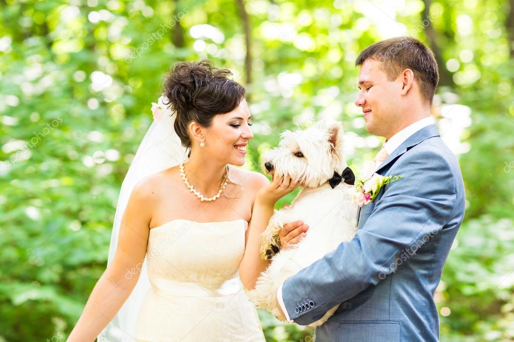 Bride and groom wedding with dog summer outdoor — Stock Photo © Satura ...