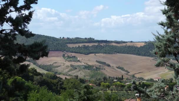 Vigneto toscana Video Stock, Filmati | Depositphotos