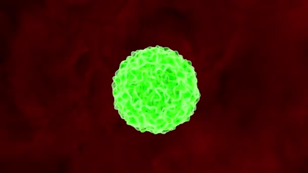 Virus Isolated Close Animated Video Background — Stock Video ...