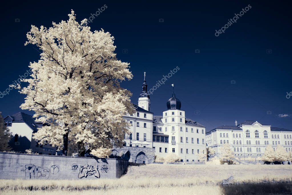 fotografía infrarroja - foto surrealista del paisaje con árboles bajo ...