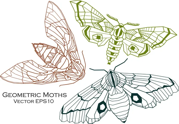 242 Hawk moth Vector Images | Depositphotos