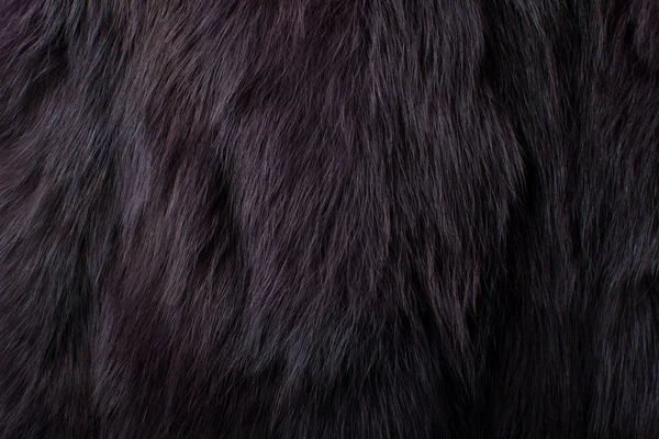 Mink fur background Stock Photos, Royalty Free Mink fur background ...