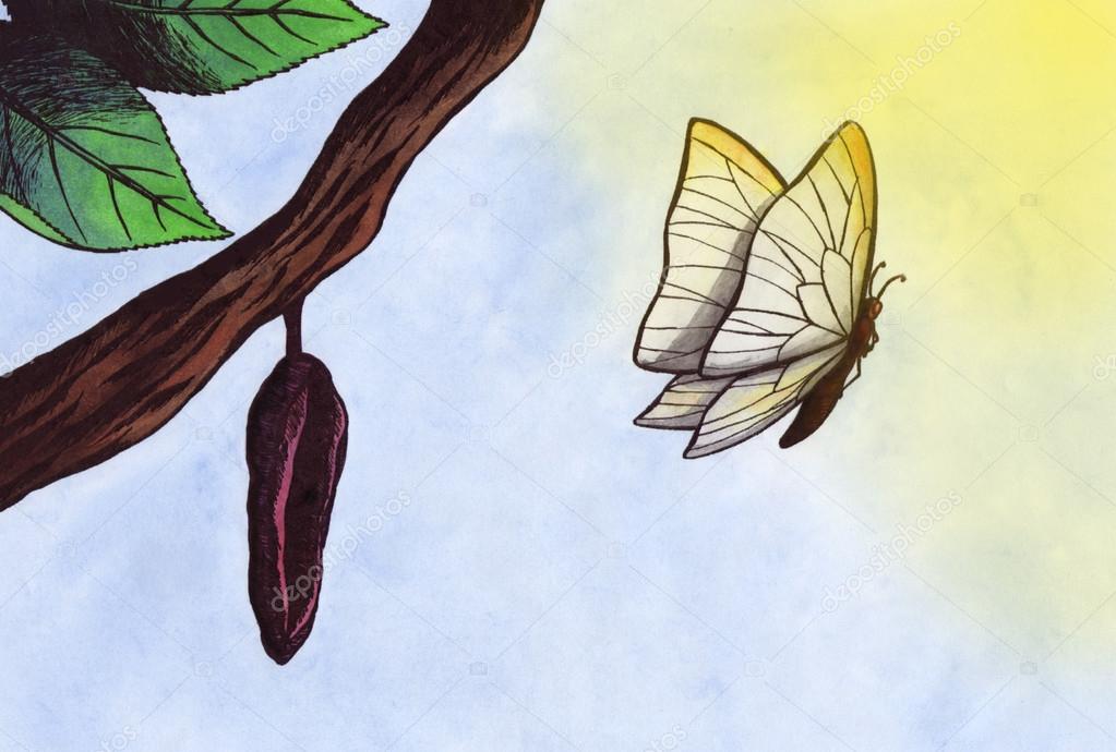 A white butterfly leaving his cocoon and flying into the light ...
